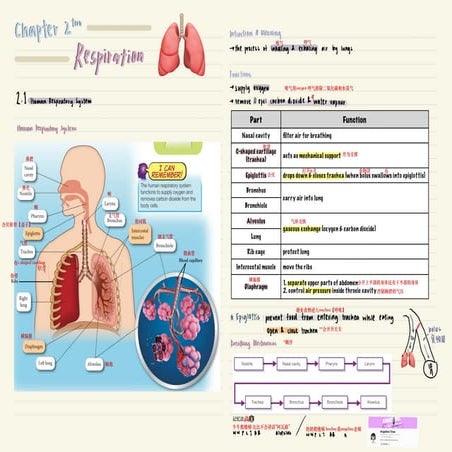 F3 Chapter 2.pdfhhhhhhhhhhhhhhhhhhhhhhhhhhhhhhhhhh | PPT