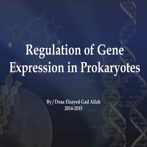 Regulation of Gene Expression in Prokaryotes | PPTX