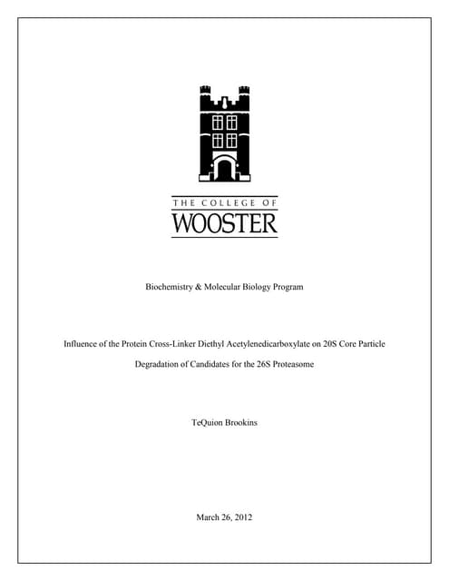 Van Andel Rough Draft | PPT