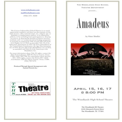 Amadeus Program | PDF