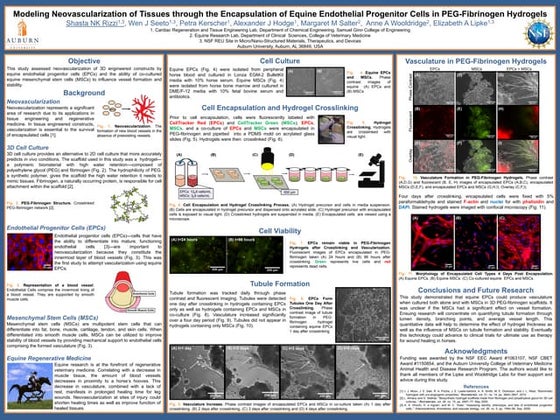 TISSUE ENGINEERING | PPT | Biological Sciences | Science
