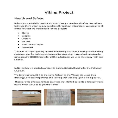 Viking Project | PDF