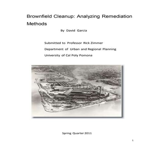 Brownfield Remediation Final Paper | PDF
