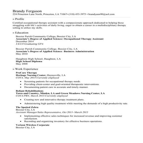 Zeta resume | DOCX