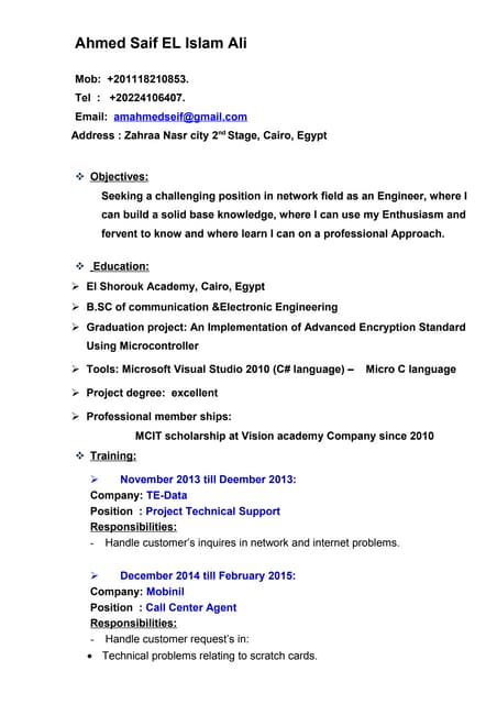 Syed NE Designer CV | DOC | Computing | Technology & Computing