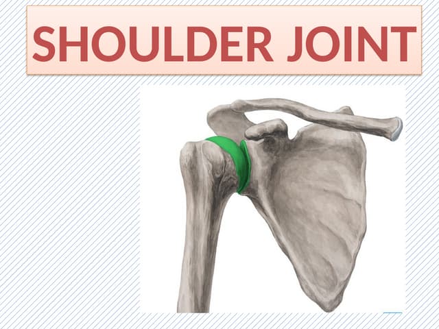 Shoulder Joint -pdf lecture notes Dr.N.Mugunthan.M.S | PDF
