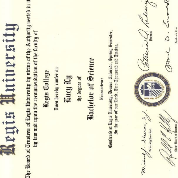 Bachelors Degree | PDF