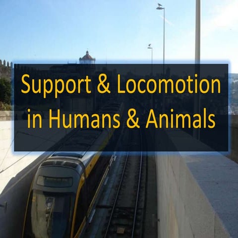 F5 2.1 support & locomotion in humans & animals | PPT