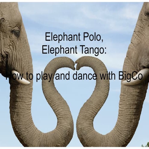 Elephant Polo, Elephant Tango - Partnering with Large firms | PDF