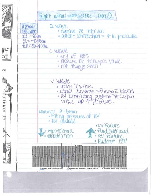 svt cheat sheet | PDF