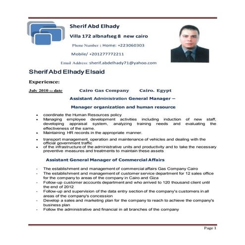 Sherif Abdelhady--CV (1) | PDF | Free Download