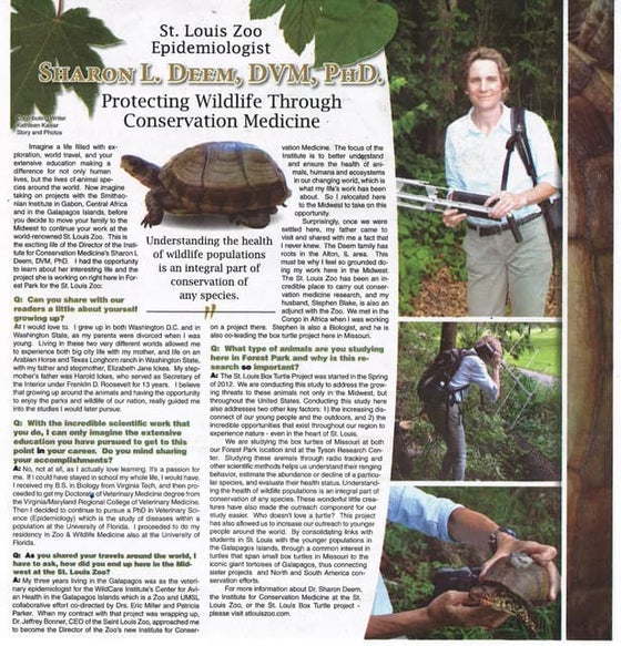 Great Day St. Louis - VIRGINIA KERR Interview | PDF