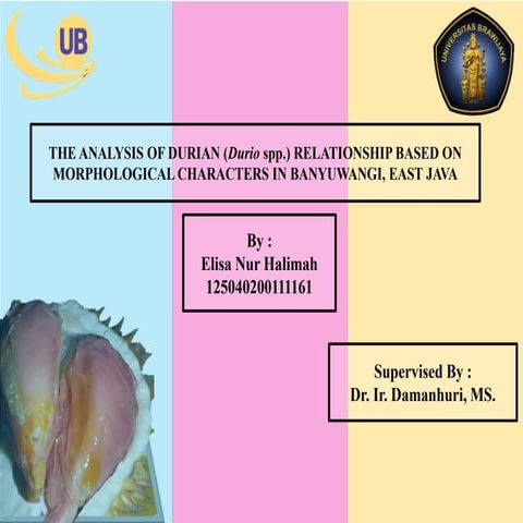 ANALYSIS OF DURIAN (Durio spp | PPTX | Gardening | Home & Garden