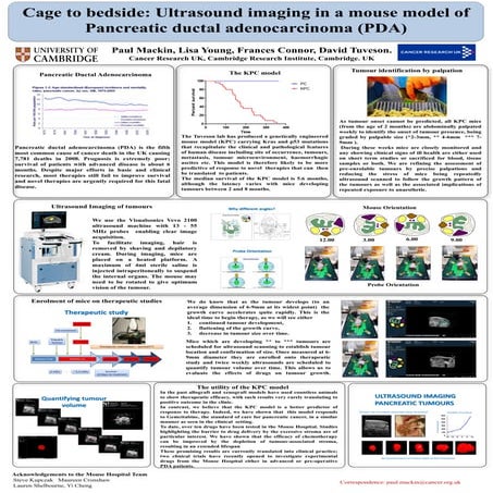 IAT Congress poster final | PDF