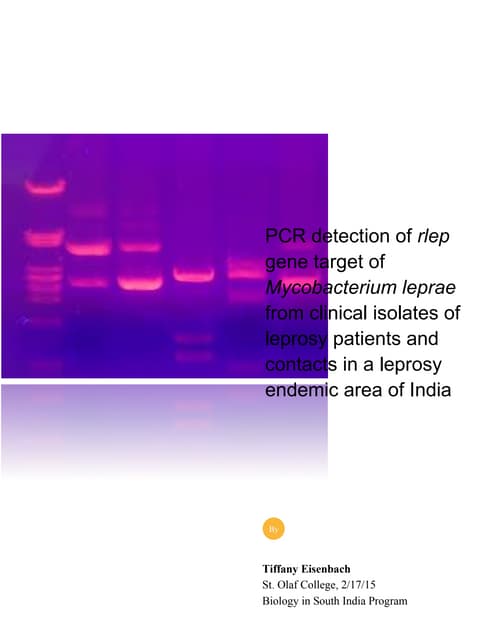Detection Of Rlep Final Version Pdf