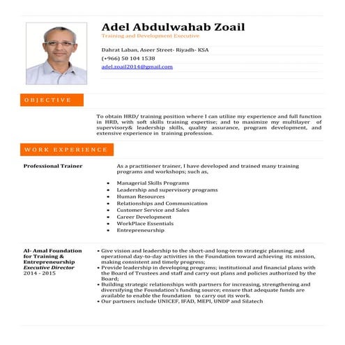 Adel Zoail. Resume' | PDF