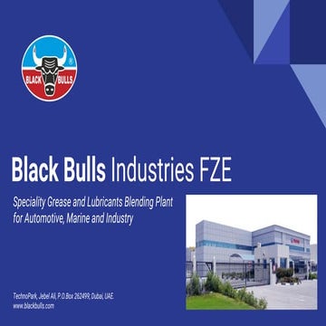 BBI Presentation-1 | PDF