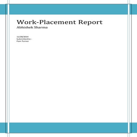 Work Placement Report-Abhishek | PDF