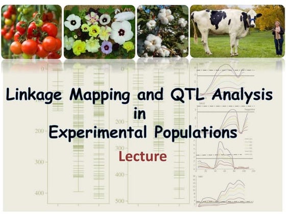 QTL MAPPING & ANALYSIS | PPTX | Genetics | Science