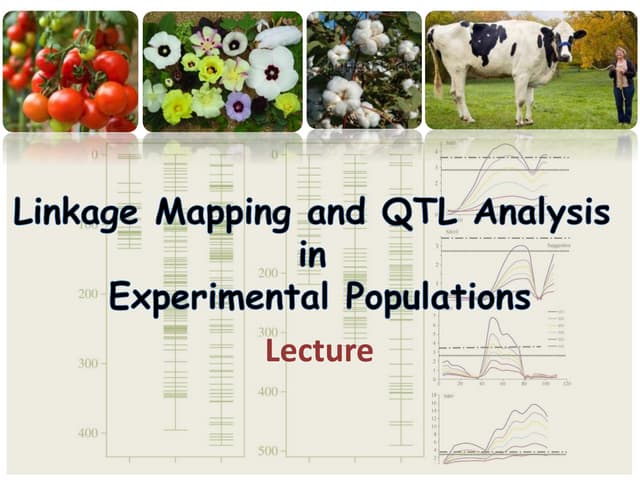 QTL MAPPING & ANALYSIS | PPTX