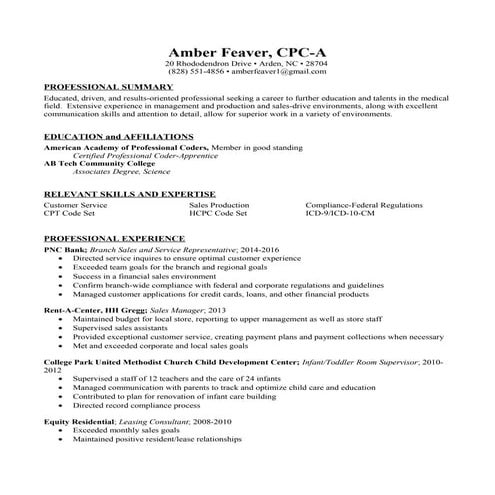 Professional Resume | DOCX