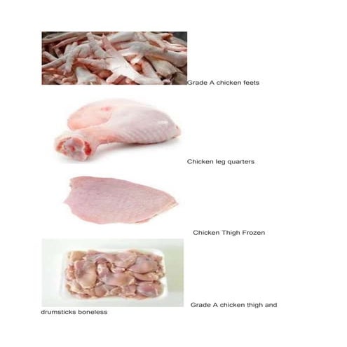 chicken | DOCX | Birds | Pets