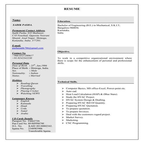 Sadik Pasha CV | PDF