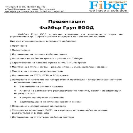 Fiber Group Presentation BG | PDF