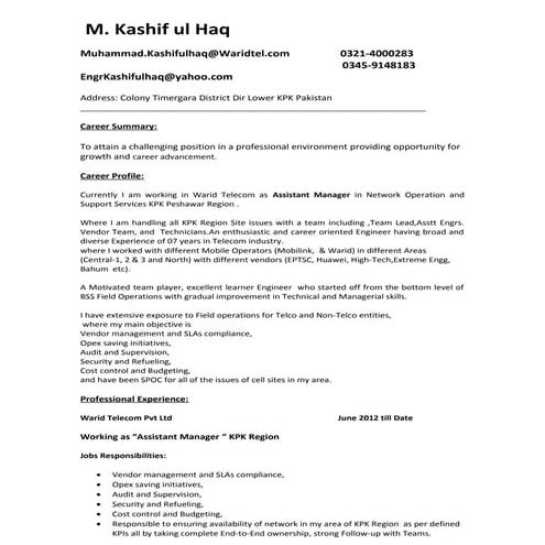 Kashif ul Haq Cv | DOC