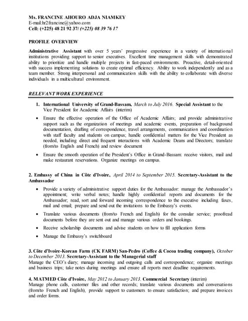 Vfs cv english | PDF