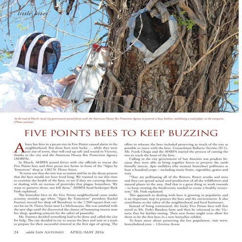 Where are the bees going? (Maddy Cheney) | PDF
