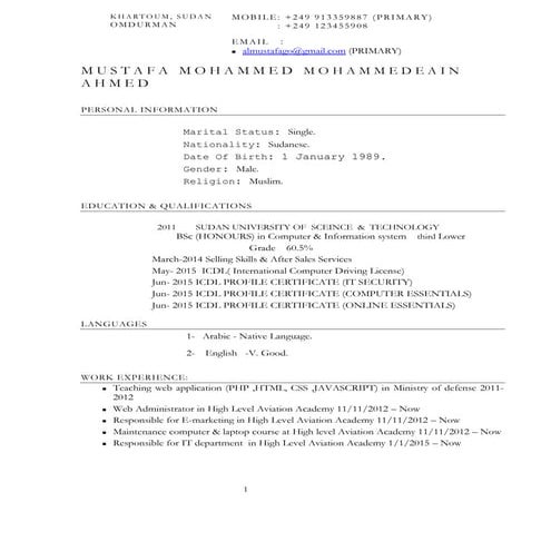 My CV | PDF | Computing | Technology & Computing