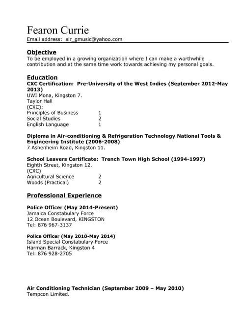 NOOR ARINA AZMI-RESUME COMPANY | PDF