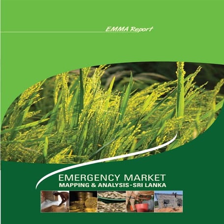 EMMA Report 5 Critical Markets Rice,Milking cow,Skill Labour,Ground nut ...