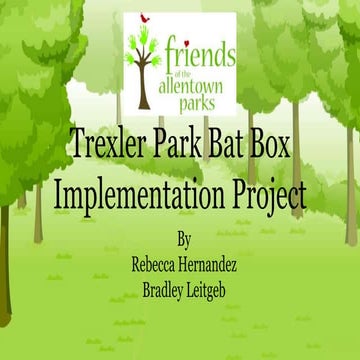 Bat Presentation | PPTX