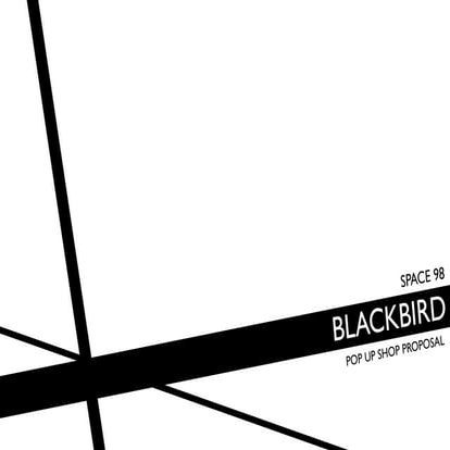 BLACKBIRD X SPACENINETY 8 | PDF