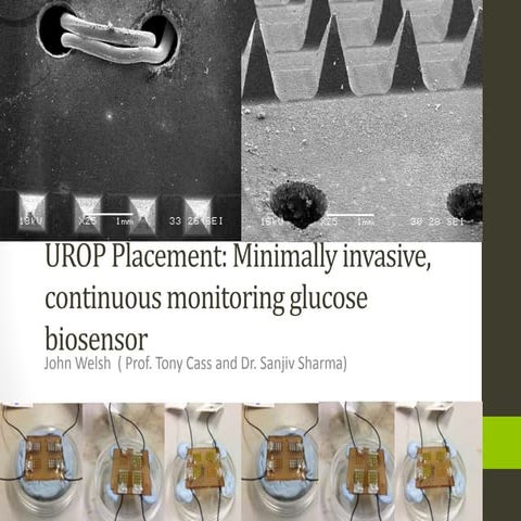 UROP presentation | PPT