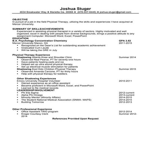 Professional Resume | DOCX