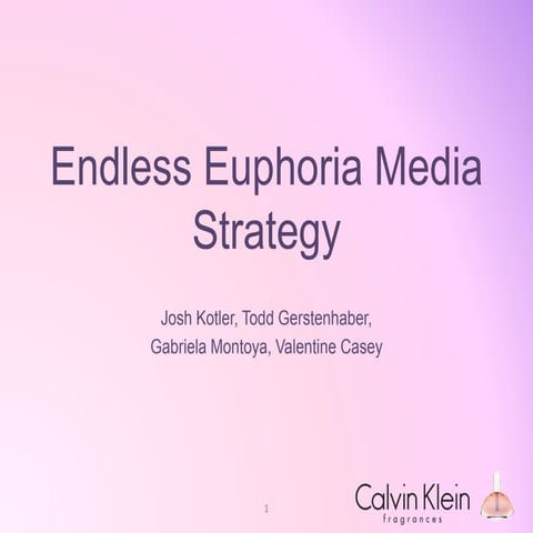 Endless Euphoria Presentation | PPTX | Social Networking | Internet