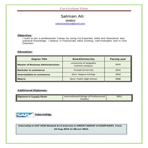 Resume salman | DOCX