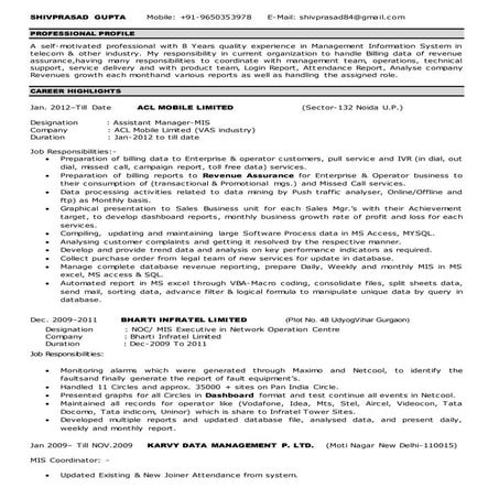 Resume for MIS Executive | DOC