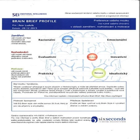 Petr Ludvik - Brain Profile | PDF