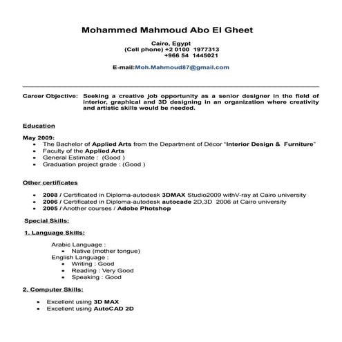 Nour cv | PDF