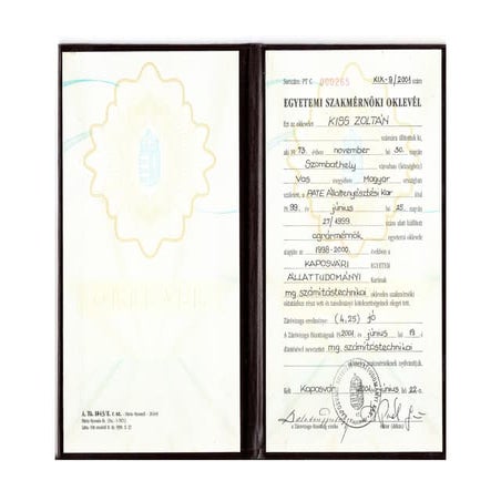 01.B.Diploma.Szakmérnök | PDF