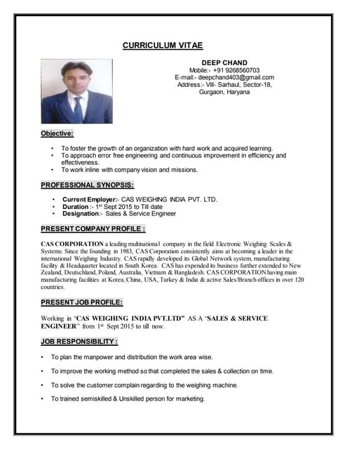 Resume_Professional Resume – 01 | PDF