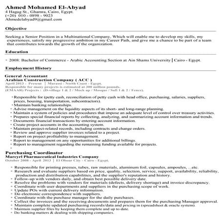 cv adel - Eng11-6 | PDF