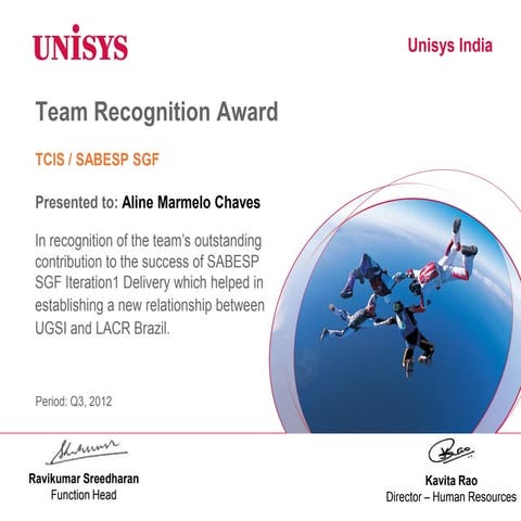Team Recognition Award | PDF