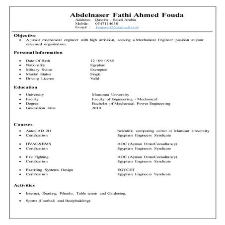 ADEL CV | PDF
