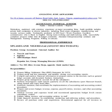 Auditor - Fully Editable ATS Resume Template.docx