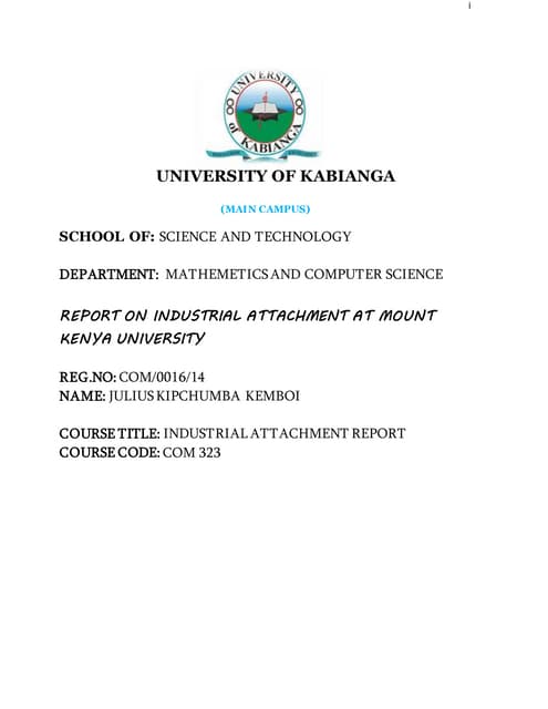 Computer science/ IT Fianl attachment report | PDF